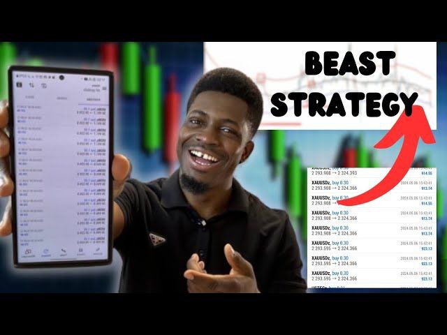 Mr P Fx Dimension Z Indicator – Mr P FX